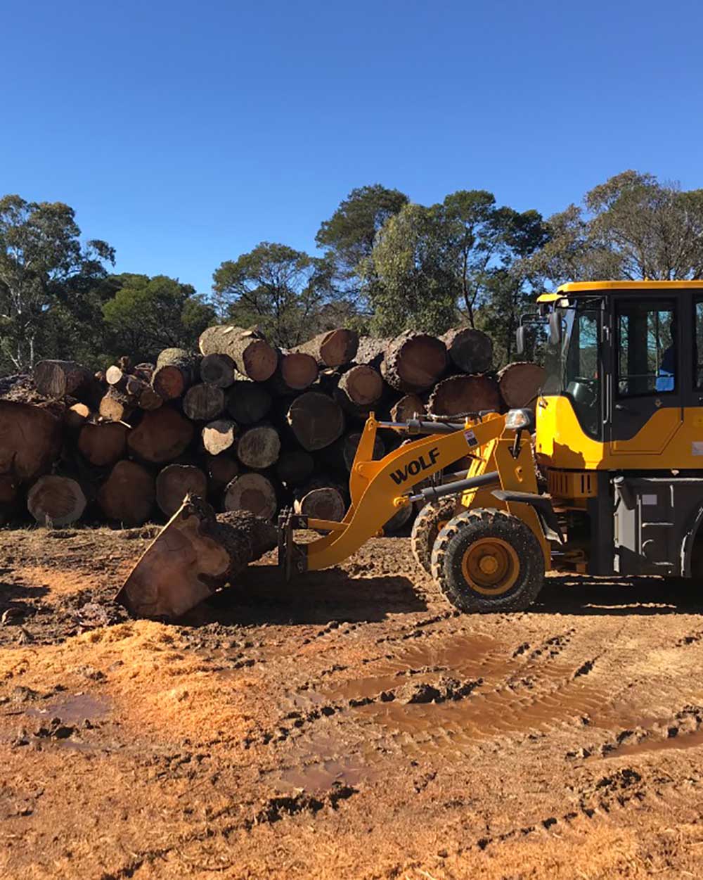 Who we are - Heartwood Tree Service | Southern Highlands