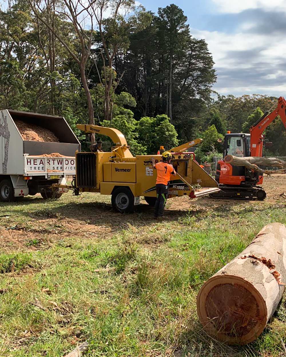 Who we are - Heartwood Tree Service | Southern Highlands